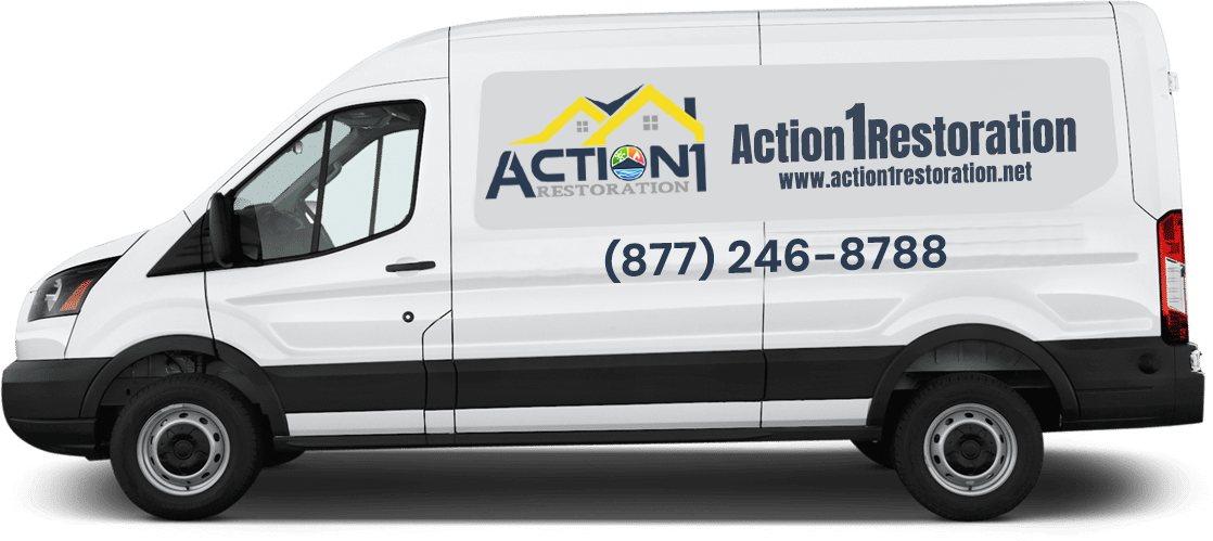 Action 1 Restoration